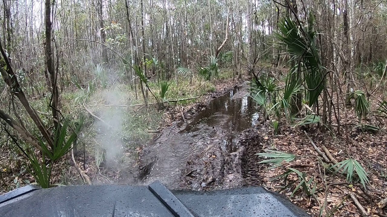 Hog waller 2019 Super bog 003 - YouTube