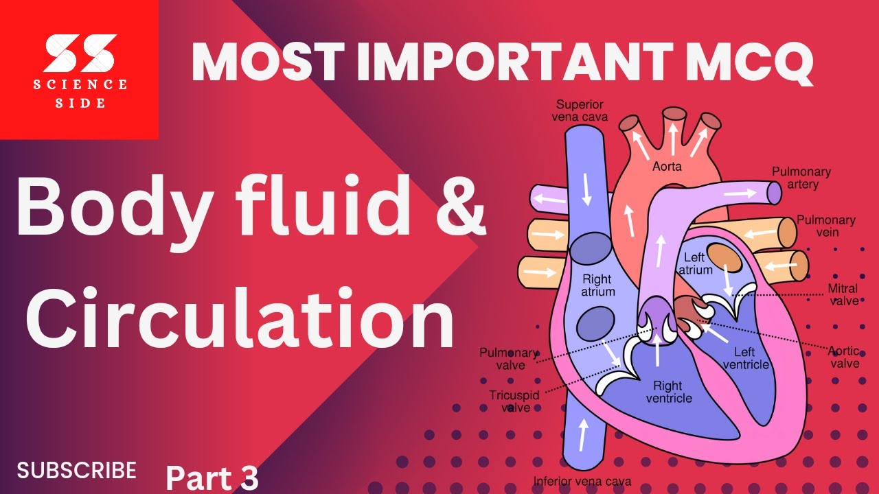 ||Body Fluid & Circulation || most important MCQ with explanation for NEET & medical, teaching ...
