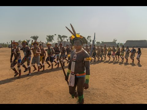 Dance, celebration and resistance | Wawi20years