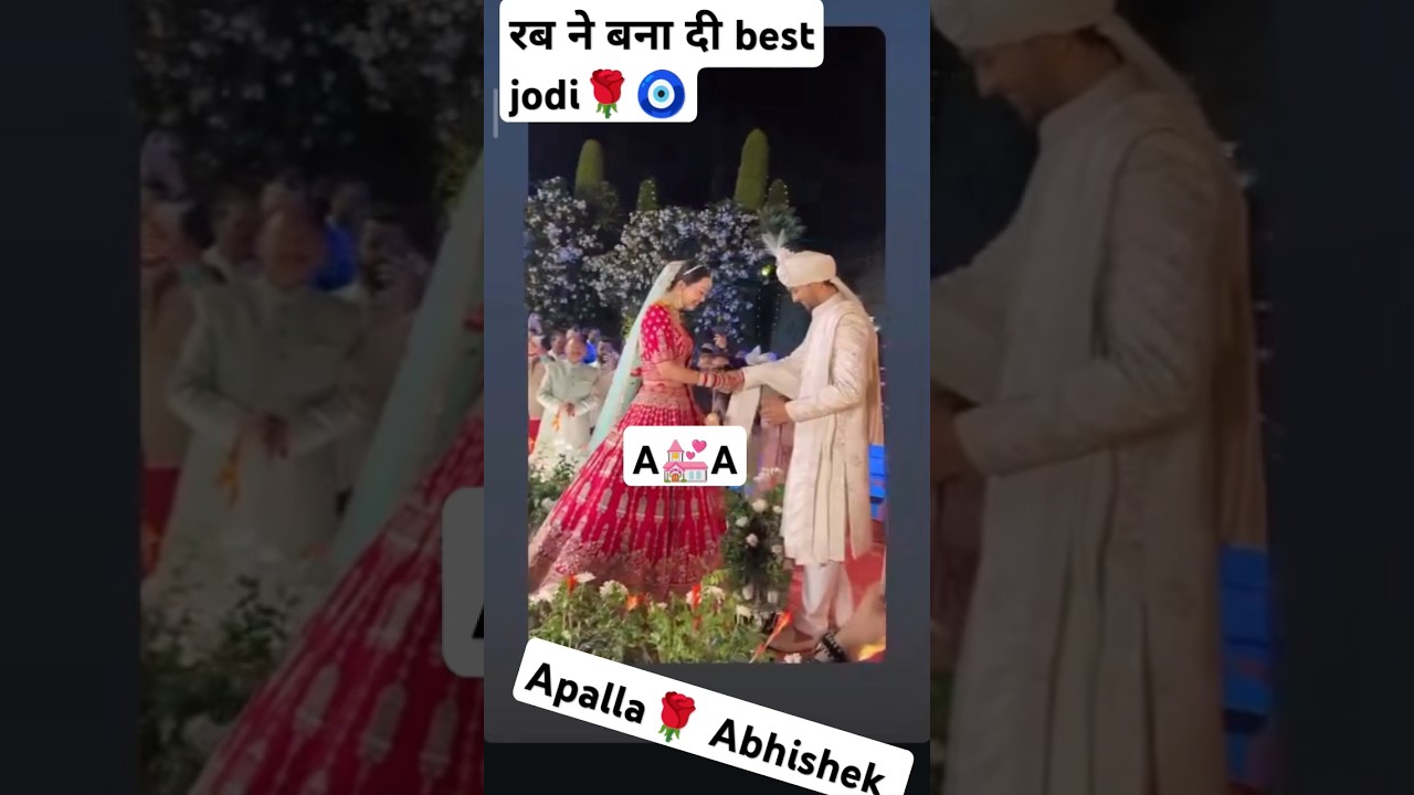 IFS Apalla mishra 💒 #upsc #upscmotvation #civilservicemotivation # ...