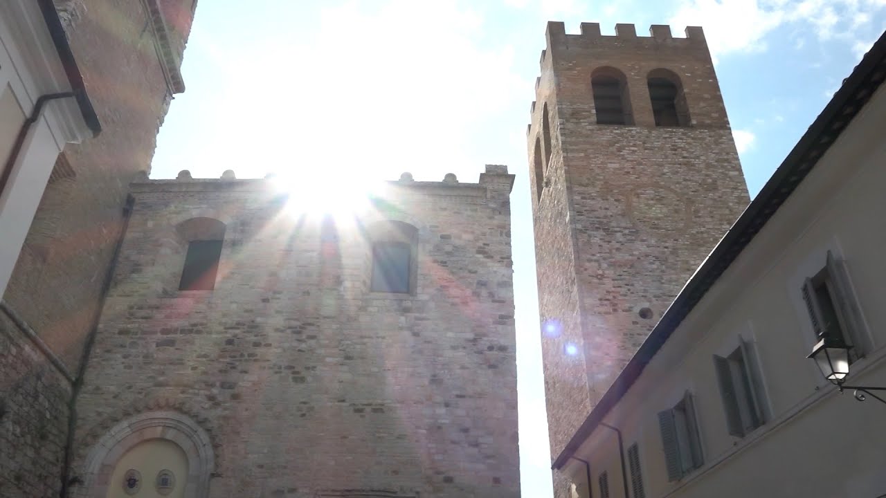 Videogiornale diocesano n. 246 del 15 novembre 2023 - YouTube