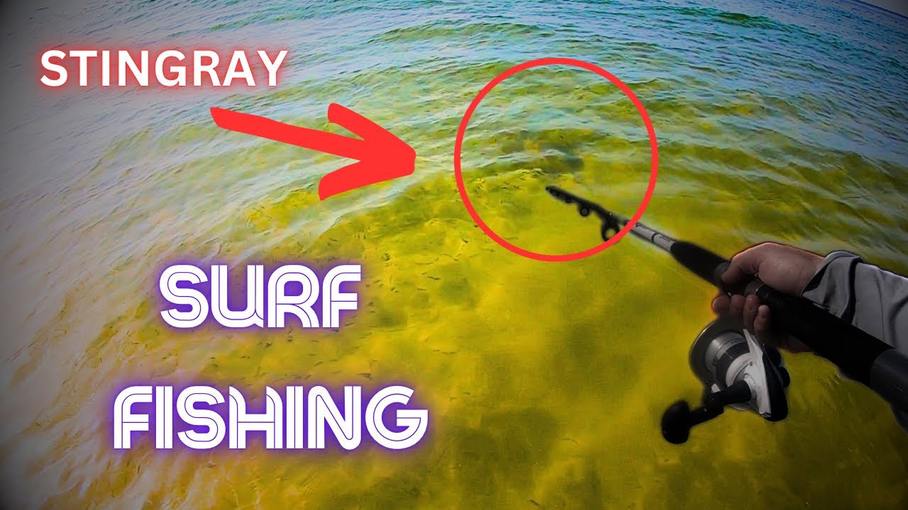 SURF FISHING IN GULF SHORES, AL (STINGRAY ENCOUNTERS) - YouTube