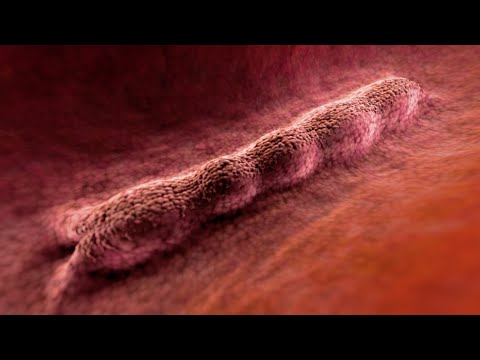 Why You Should Take Folic Acid BEFORE Pregnancy