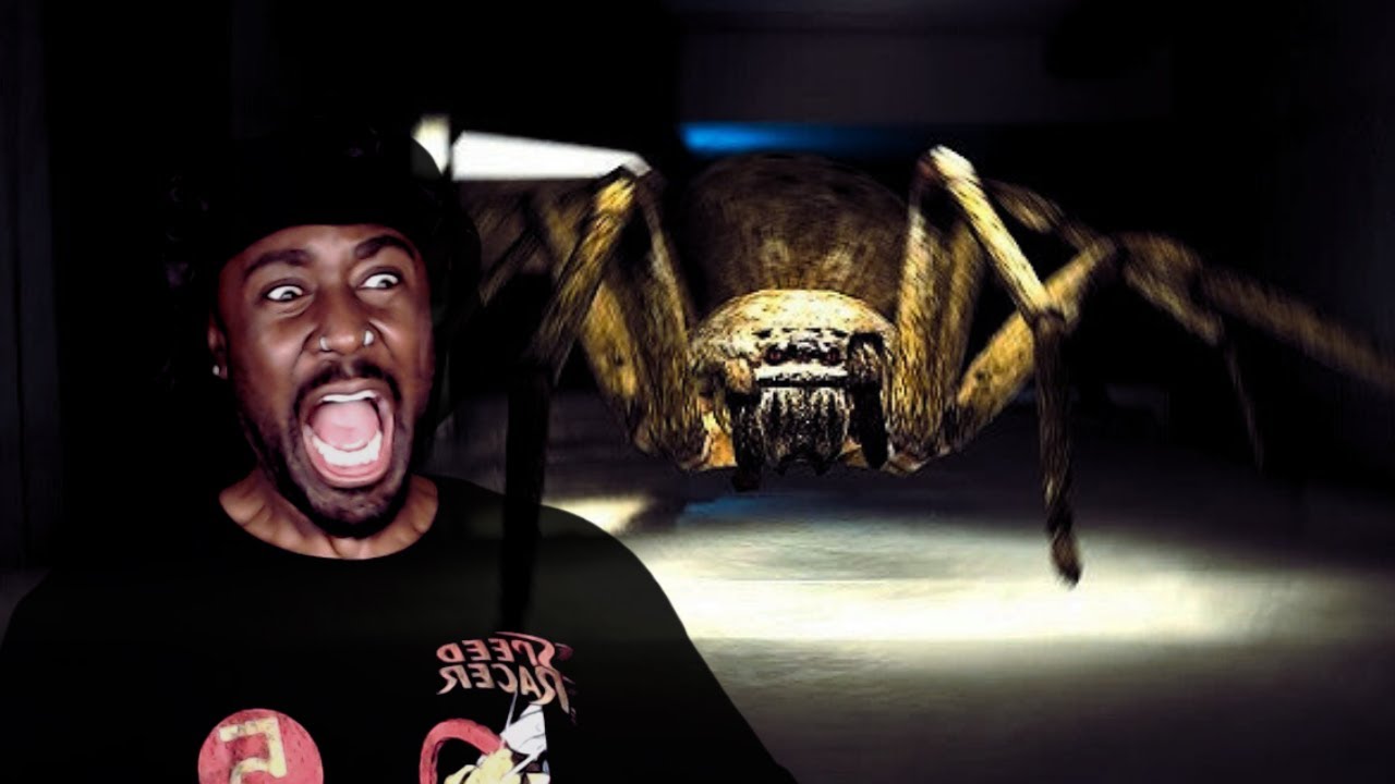 Chased By a Giant Killer Spider | Huntsman - YouTube