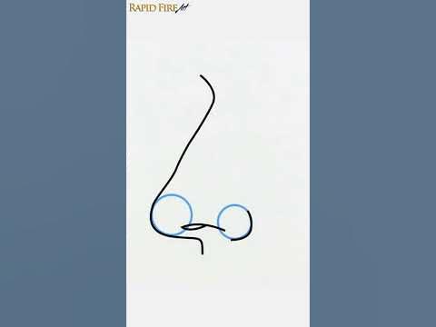 How to Draw a Realistic Nose (Side View) for Beginners - YouTube