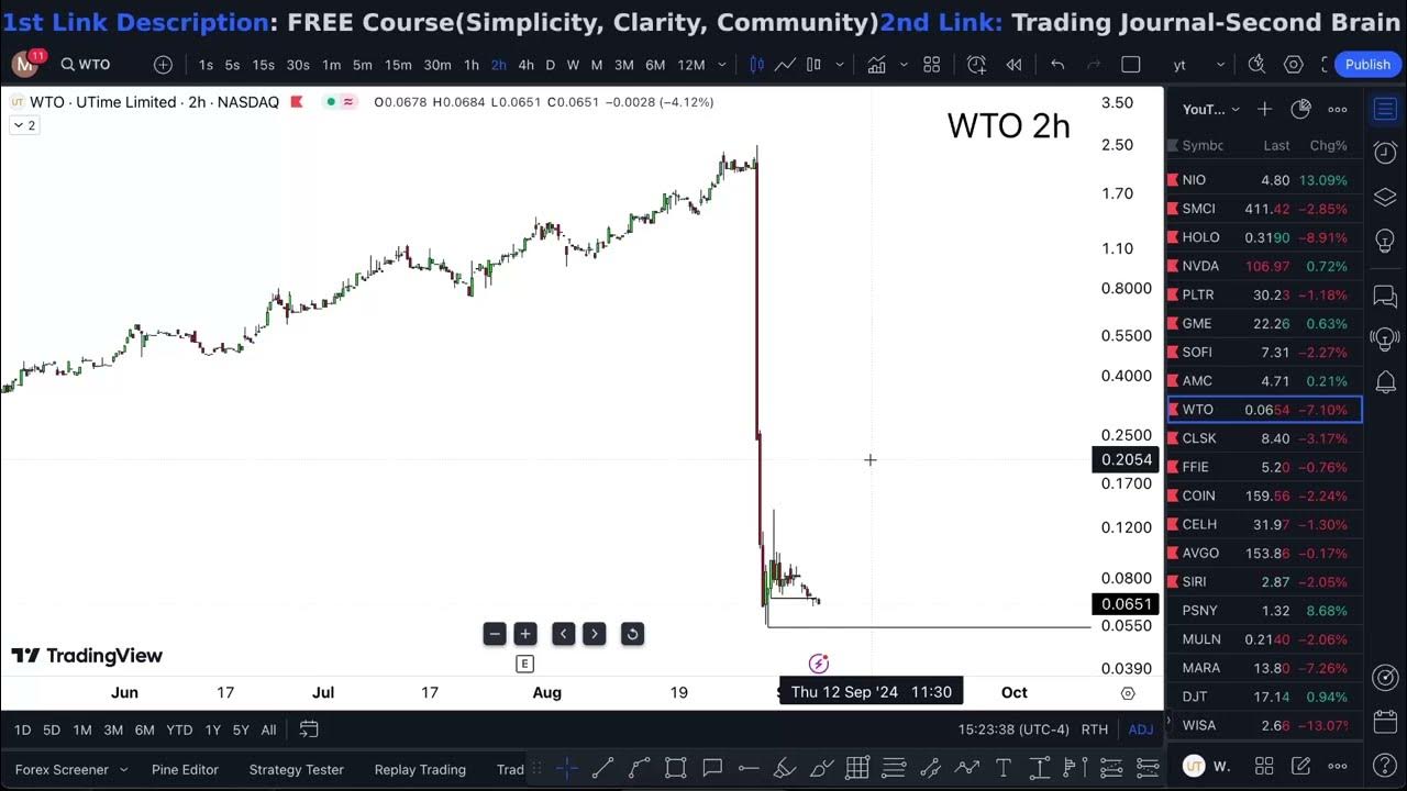 WTO Stock FRIDAY CRAZY! (buy now?) WTO - YouTube