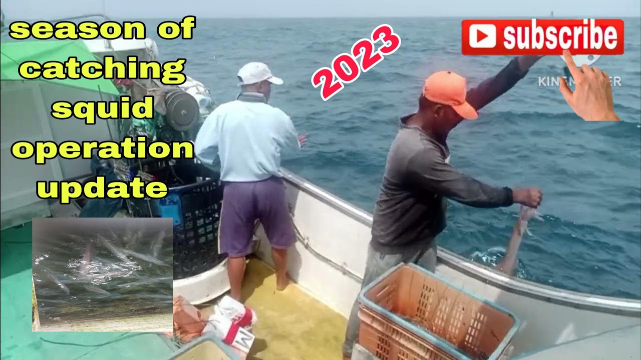 fishing boat amazing adventure/season of catching squid operation ...