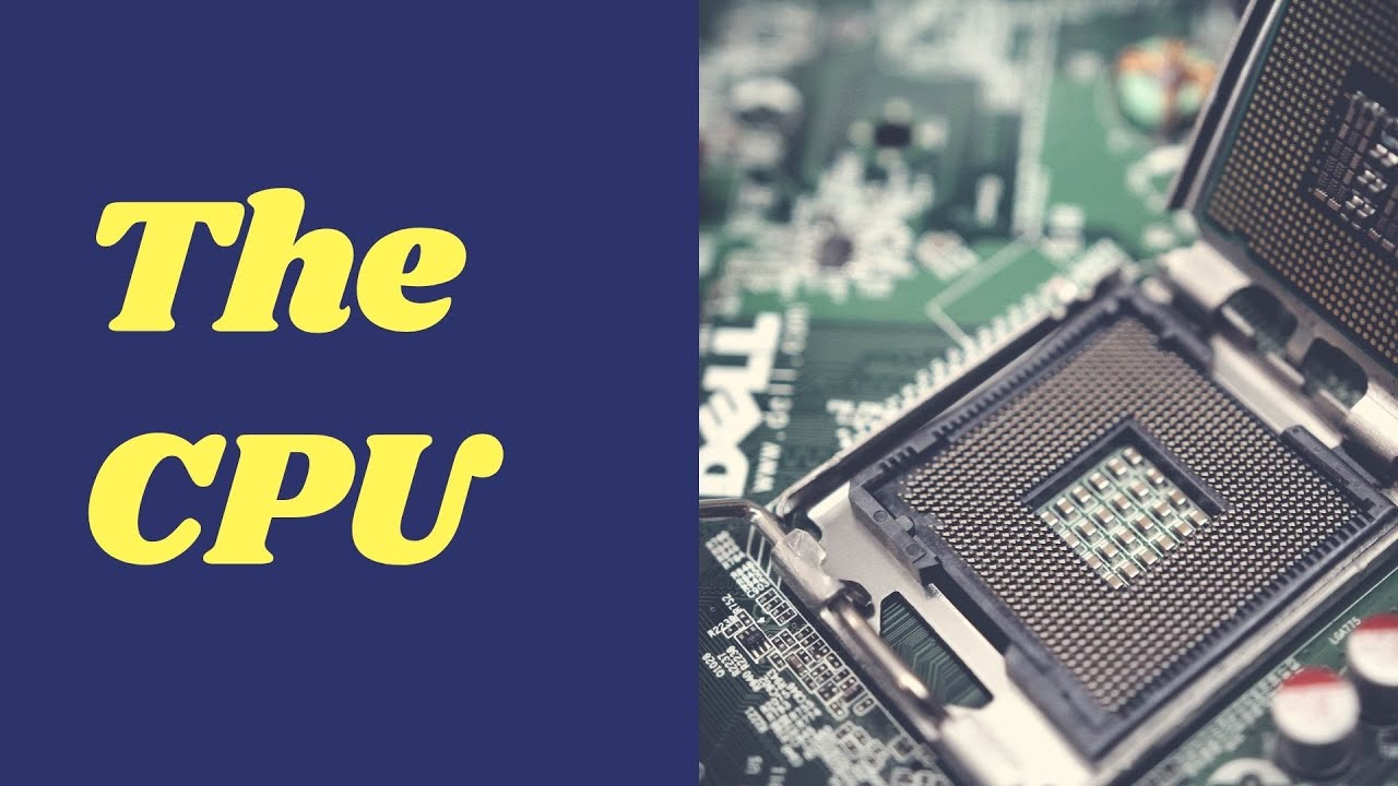 Components inside the CPU| Explanation | Computer Organization And ...