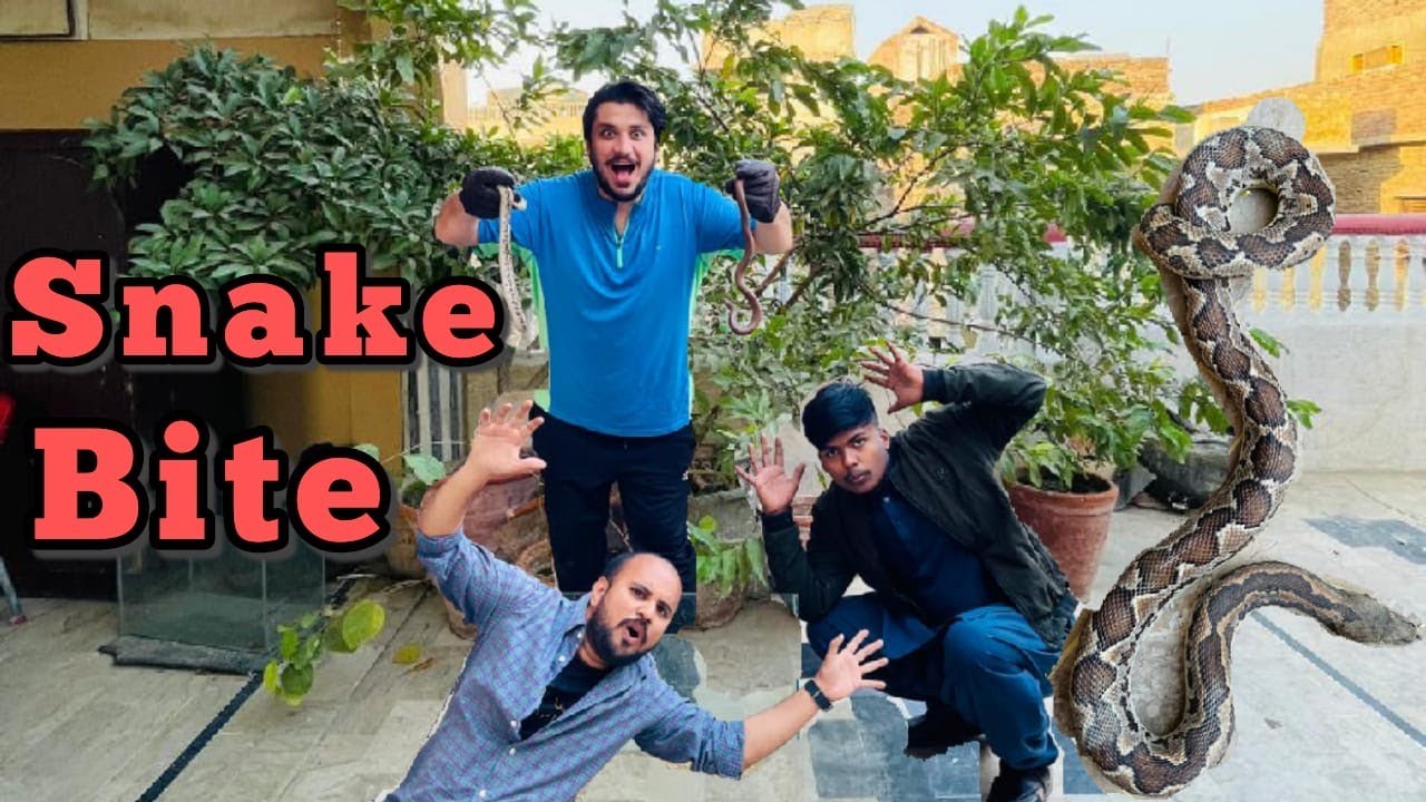 Snake House Bna Dia Or Arkam K Sath Kiya Prank - YouTube