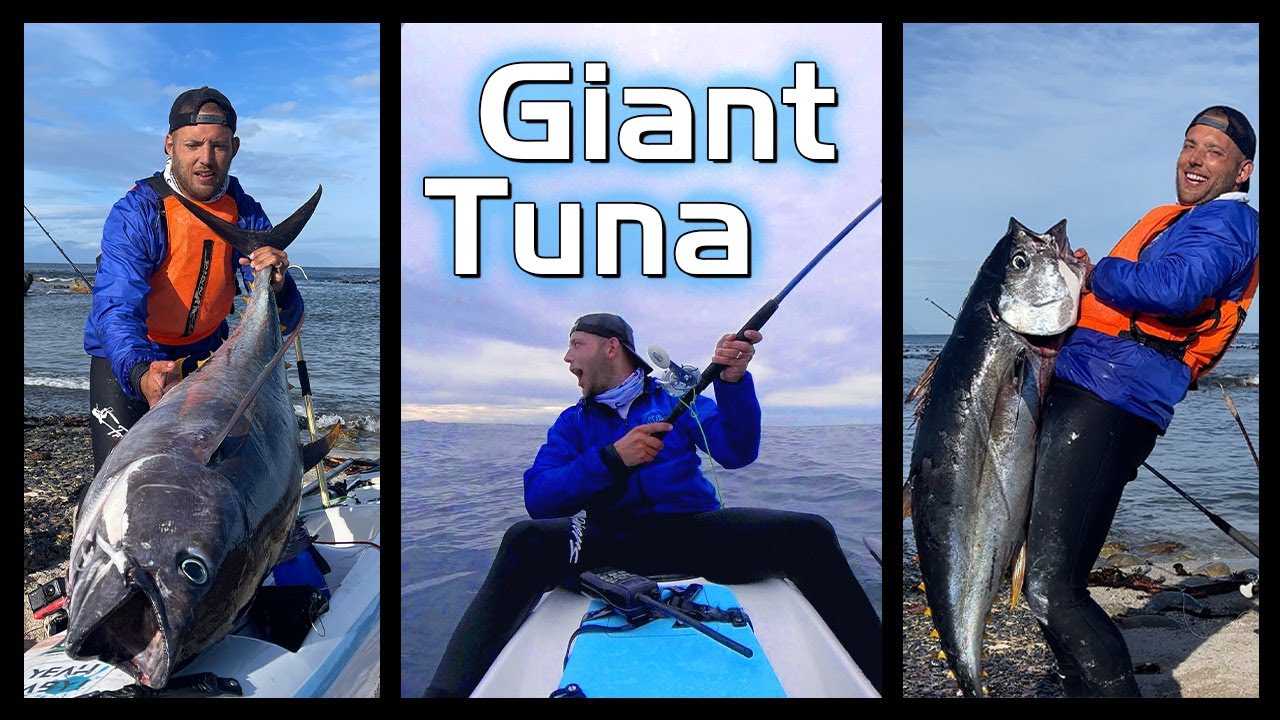 HUGE Tuna off a kayak! - YouTube