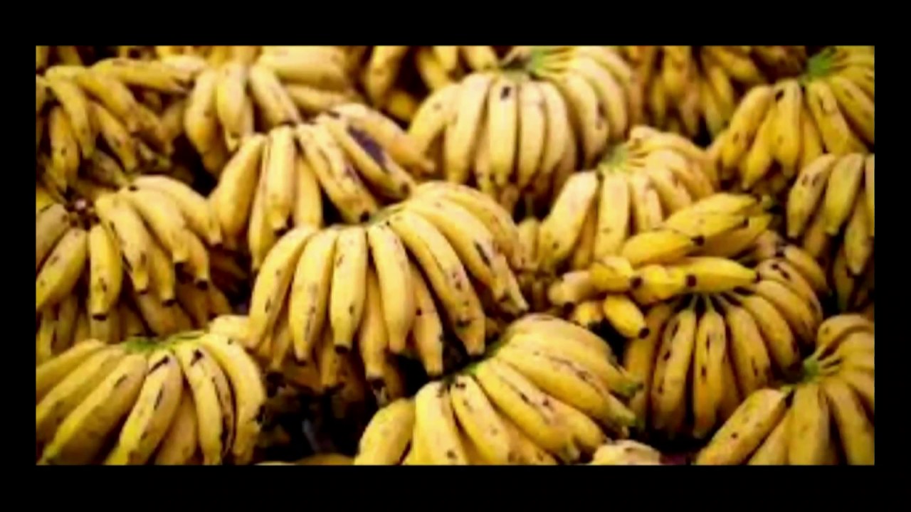 El ritual de la banana - YouTube