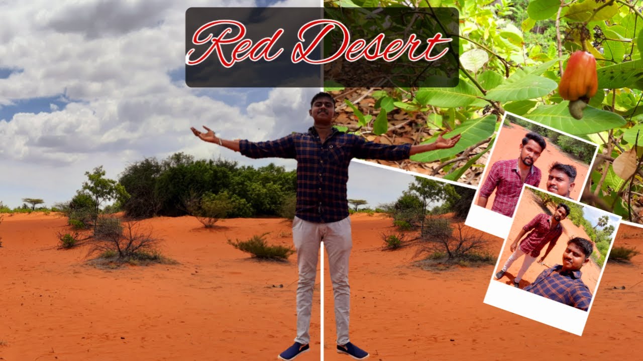 Cashew Fruit Hunting | Theri kaadu | India's Red Desert | Village ...