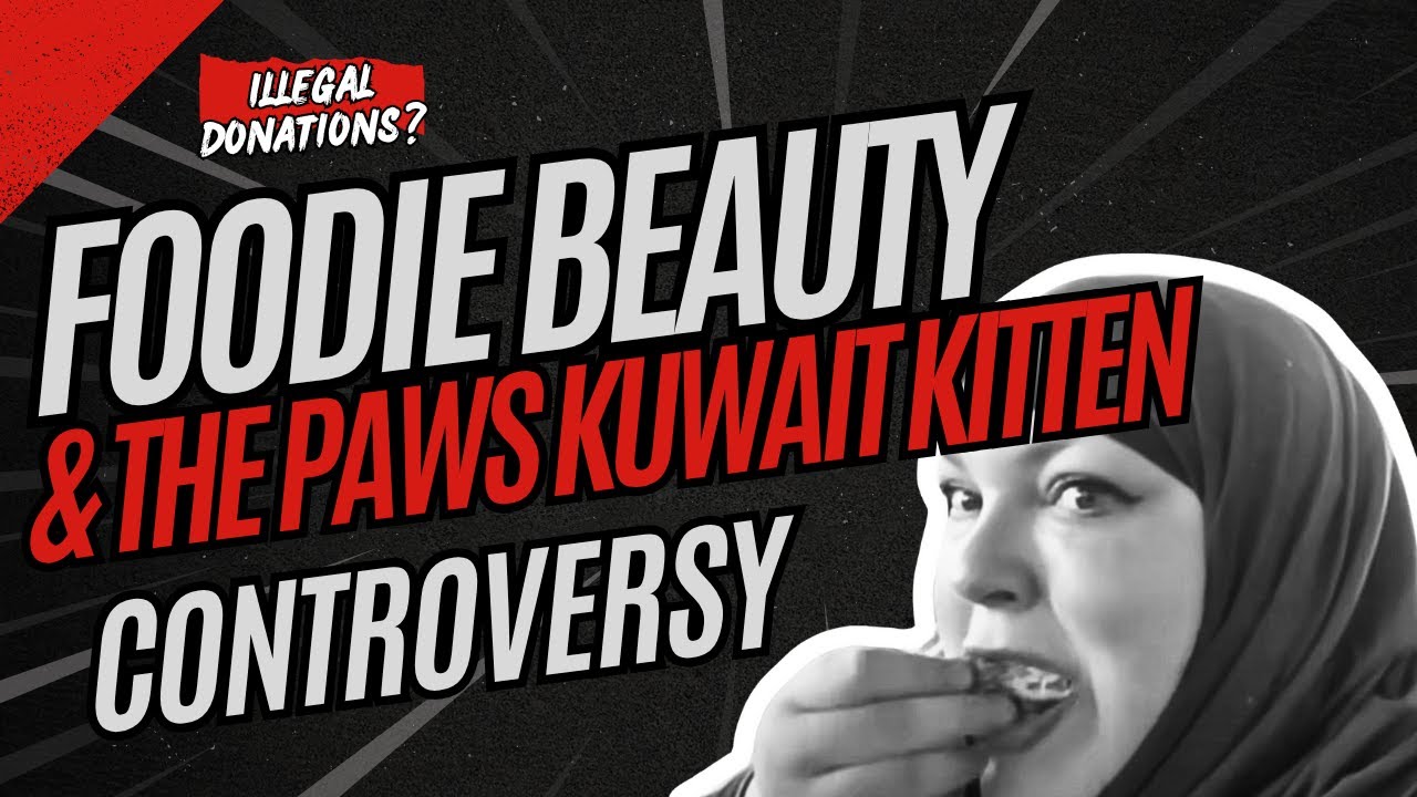 Illegal Donations? Foodie Beauty & the PAWS Kuwait Kitten Controversy ...