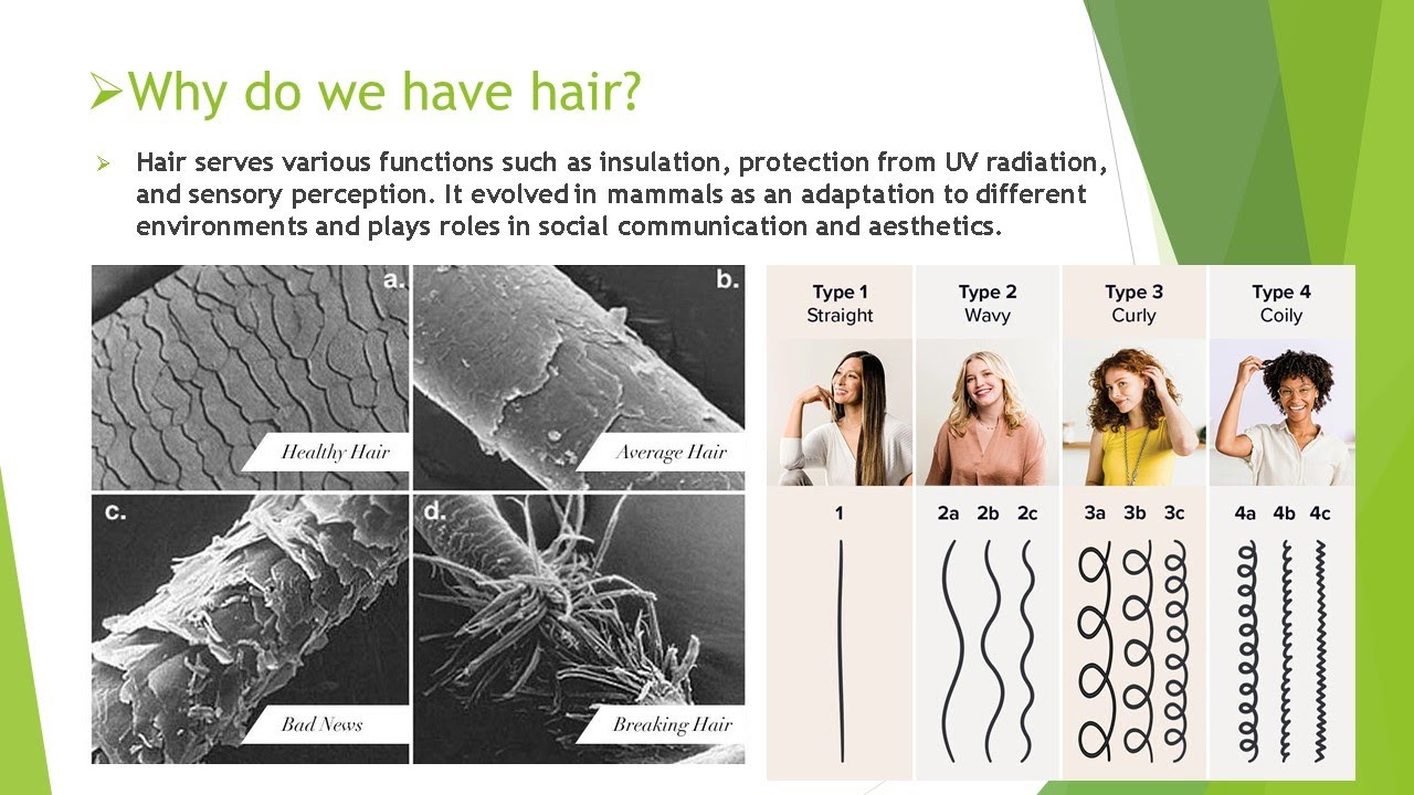 Why do we have hair? | 👑 #AjayFromFuture 🧐 #AFF 💖 #Ohmyvideos - YouTube