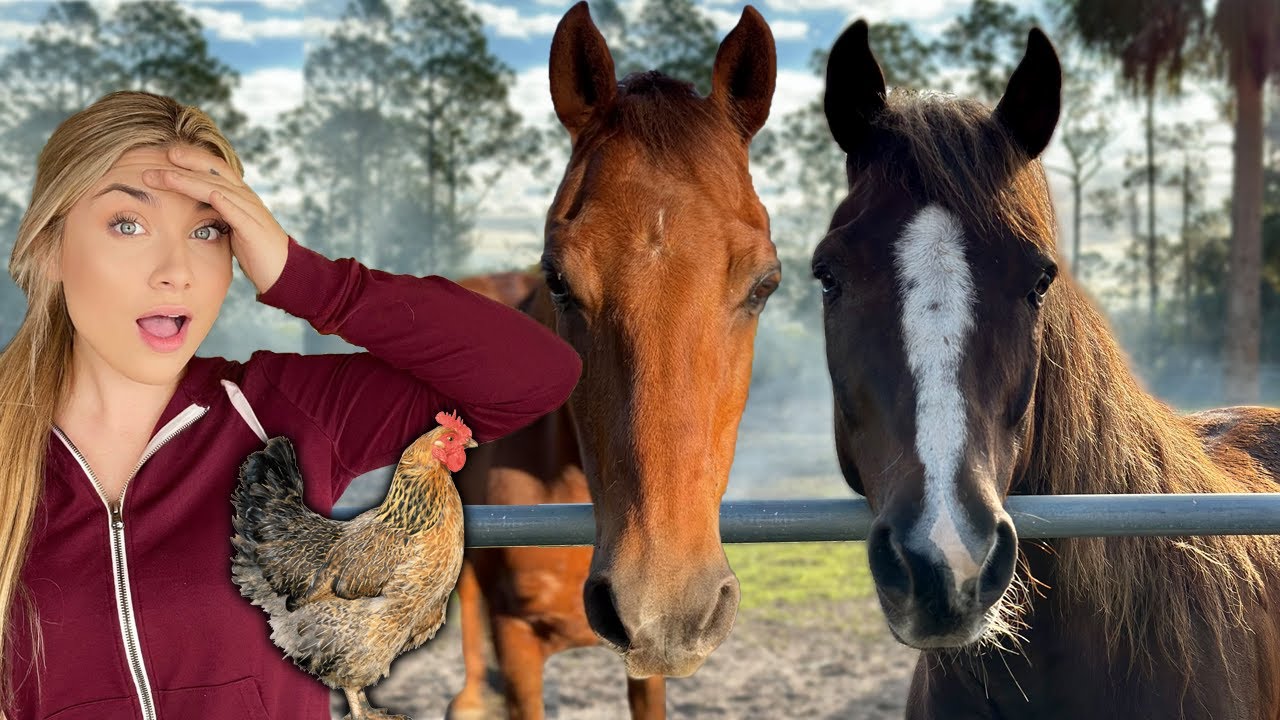 WHY DOES THIS KEEP HAPPENING? | Farm Vlog - YouTube