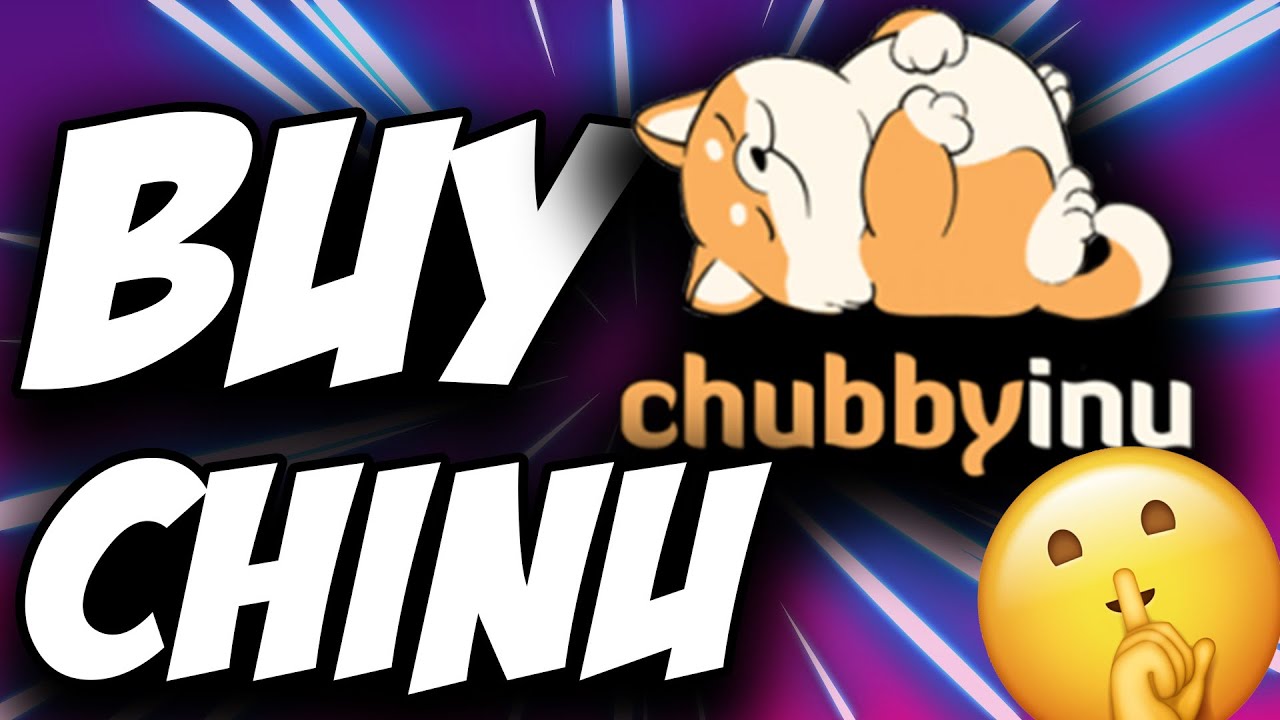 Chubby Inu Token CHINU Crypto How to Buy Chubby Inu Crypto CHINU Token ...