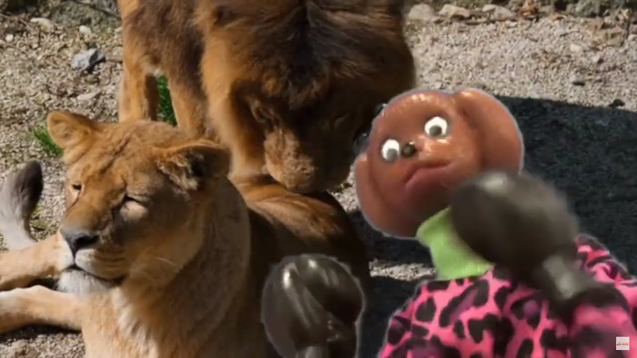 Brown Poodle Boxing Puppet. Fighting Puppet Punching Puppet Hand Puppet ...