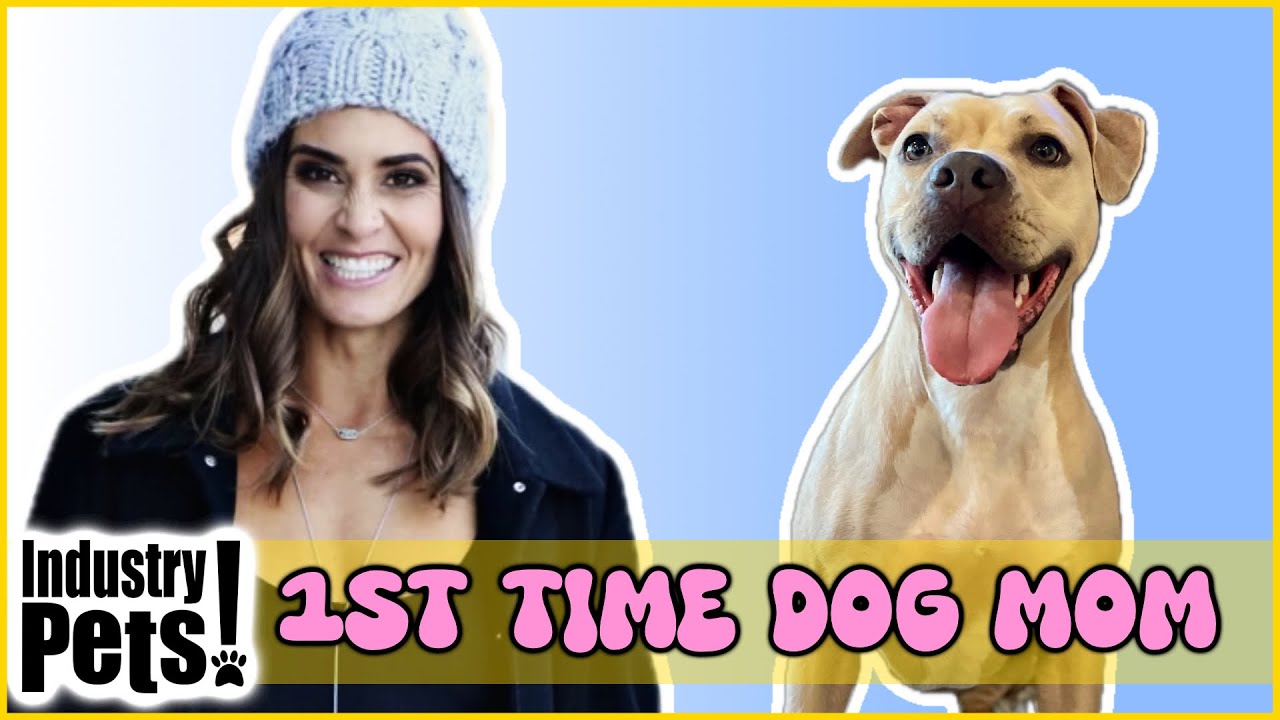 thERINpy's Erin Washington |The Unlikely Dog Mom Journey of Blue ...