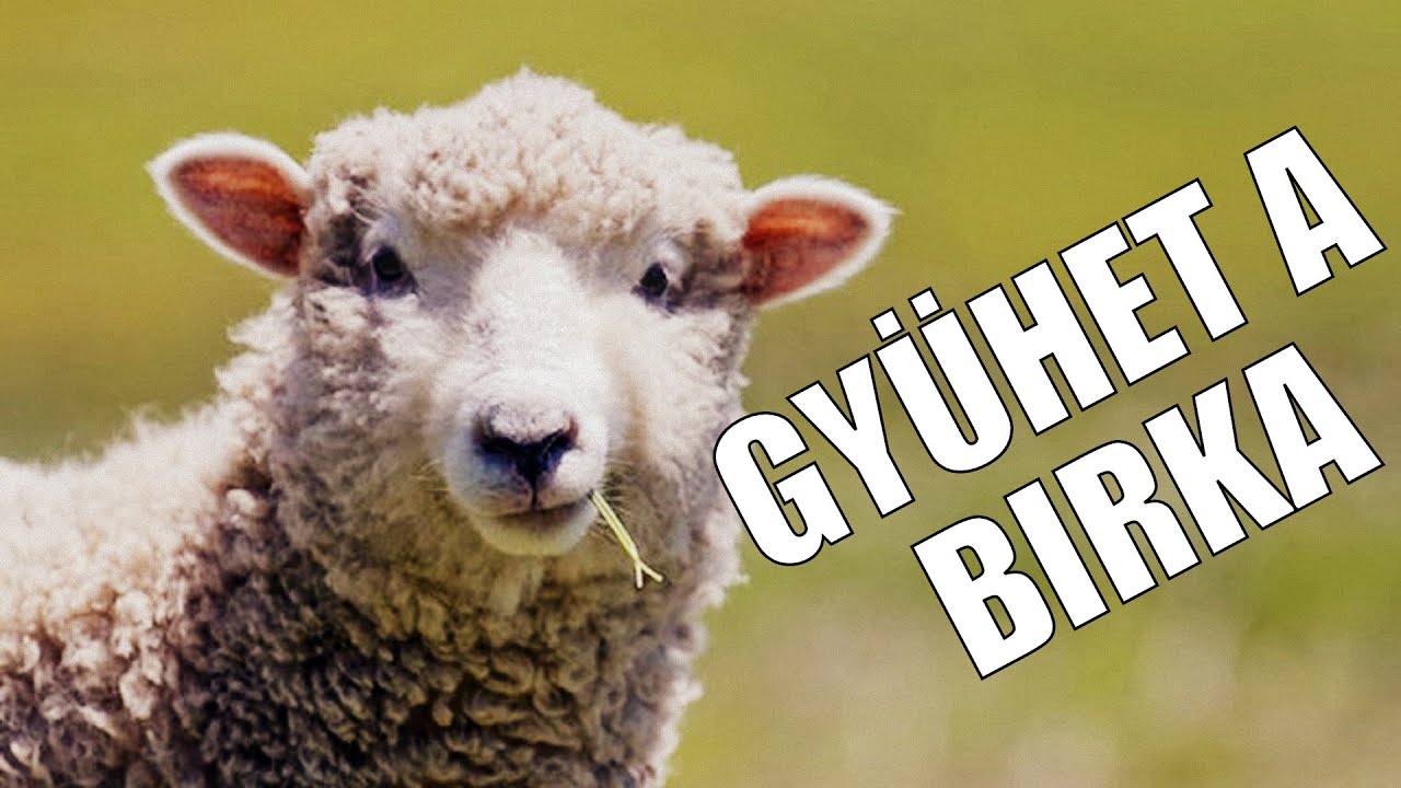 💵🚜1 MILLIÁRD EURÓS KIHÍVÁS🚜💵 (76. Rész) (FS 19) - YouTube