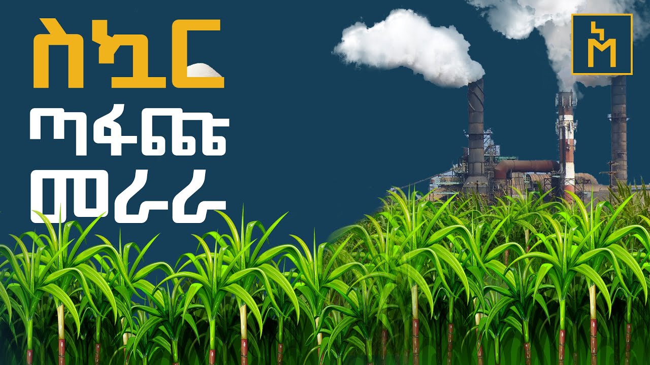 The History of the Ethiopian Sugar Industry | የኢትዮጵያ ስኳር ኢንደስትሪ ታሪክ ...