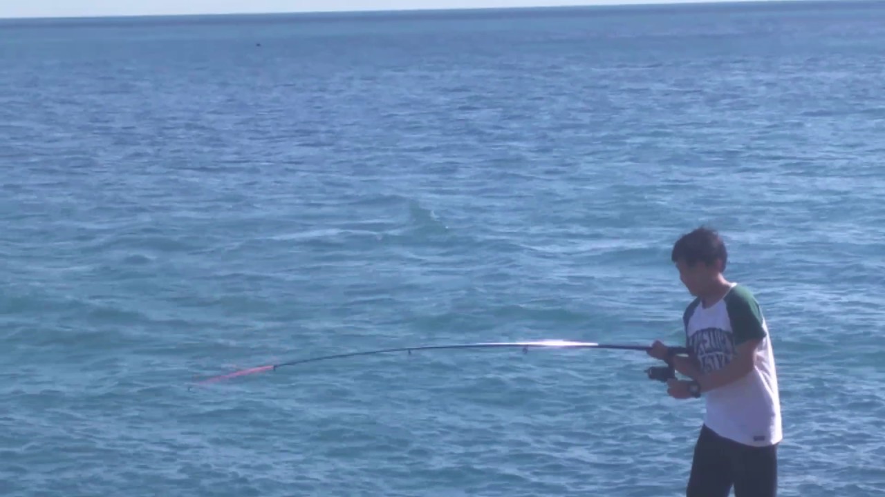 Fishing at Berry Head, Brixham - YouTube