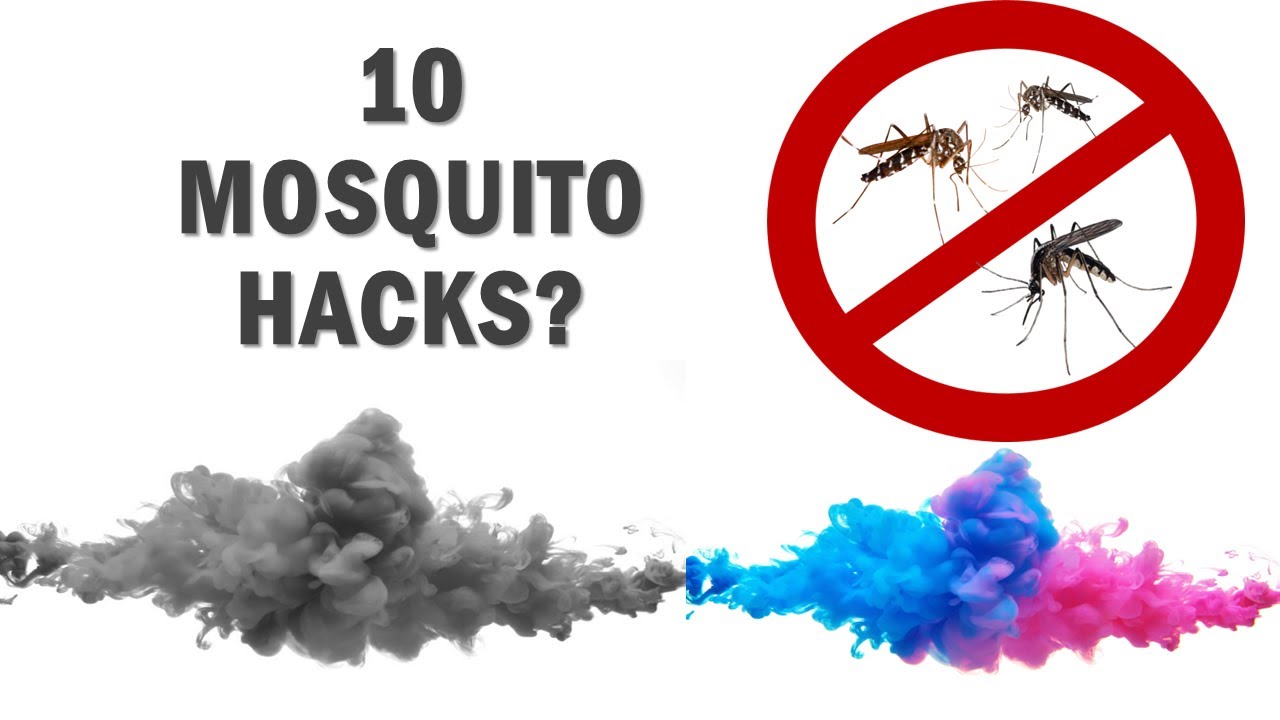 10 Mosquito Hacks? - YouTube