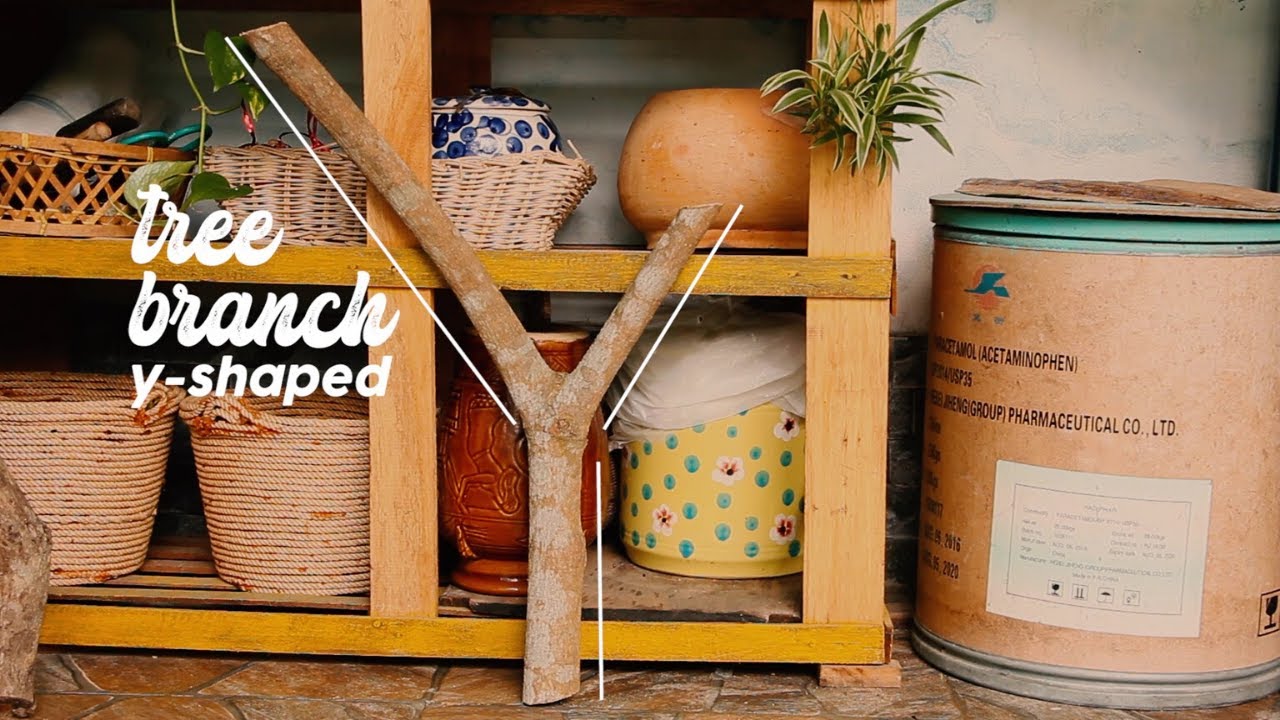 DIY: Tree Branch Shelf - YouTube