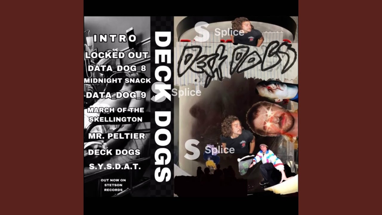 Data_Dog_9 - YouTube