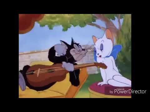 Bir kızıl goncaya - Kedi Ud Çalıyor