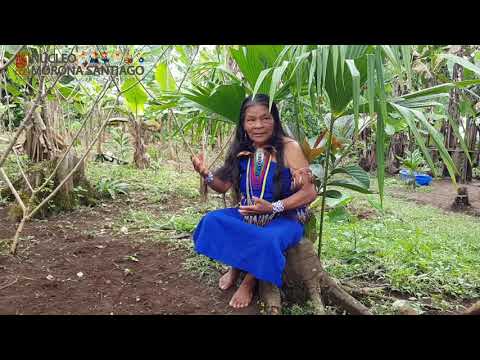 Artesanias Shuar Anent - YouTube