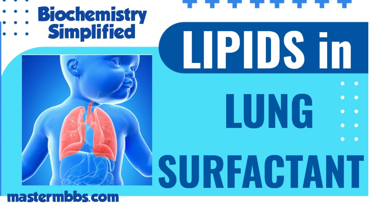 MBBS BIOCHEMISTRY - Lipids in Lung Surfactant - YouTube