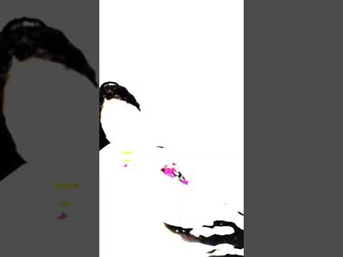 photo idea with bathtub #photography #omg #wow #bathtub #vlog