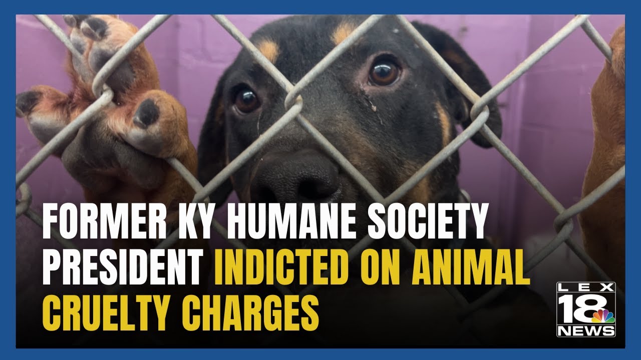 Former Humane Society President Arrested - YouTube