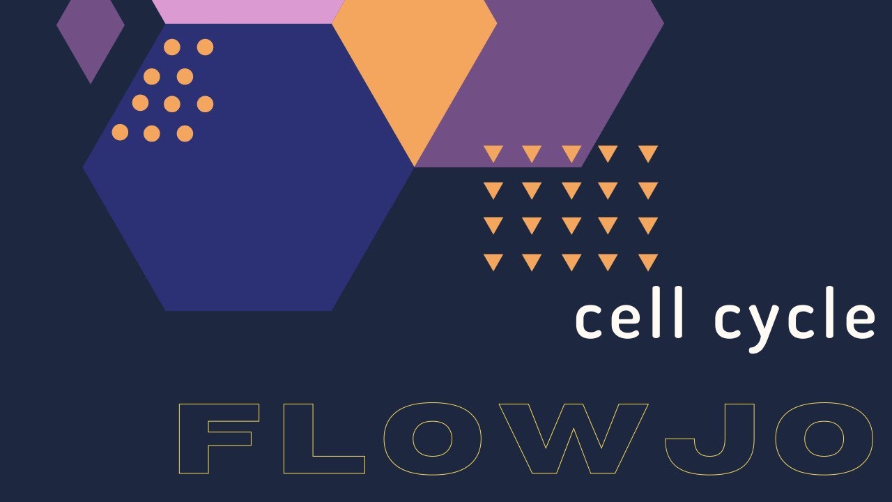 FlowJo [CELL CYCLE] - YouTube