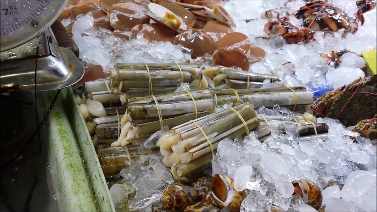Fish Market, Patong beach, Thailand - YouTube