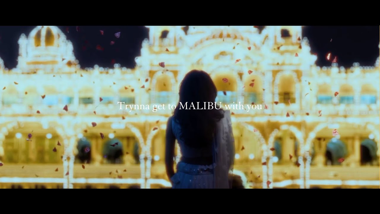 TARUN RAO, KAVIN LAVARI - MALIBU (LYRIC VISUALIZER) - YouTube