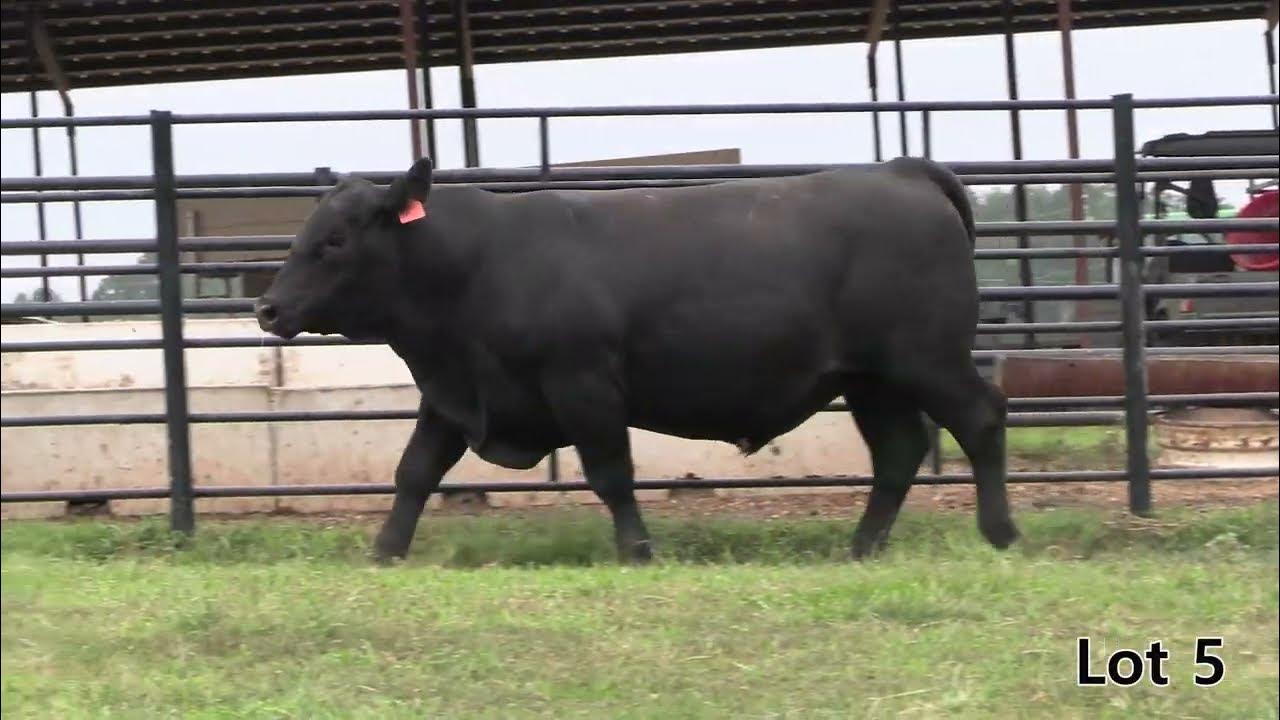 McCloud Farms Lot 5 - YouTube