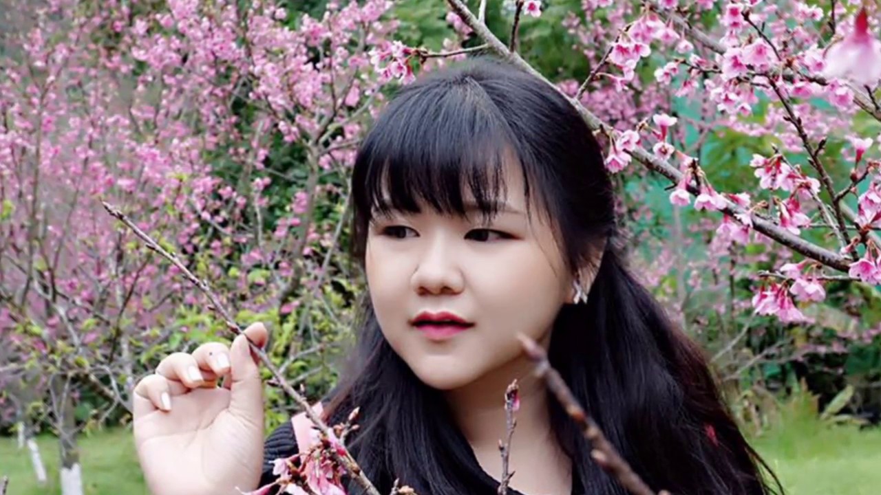 รูปเที่ยวที่เหนือ GLUAY - YouTube