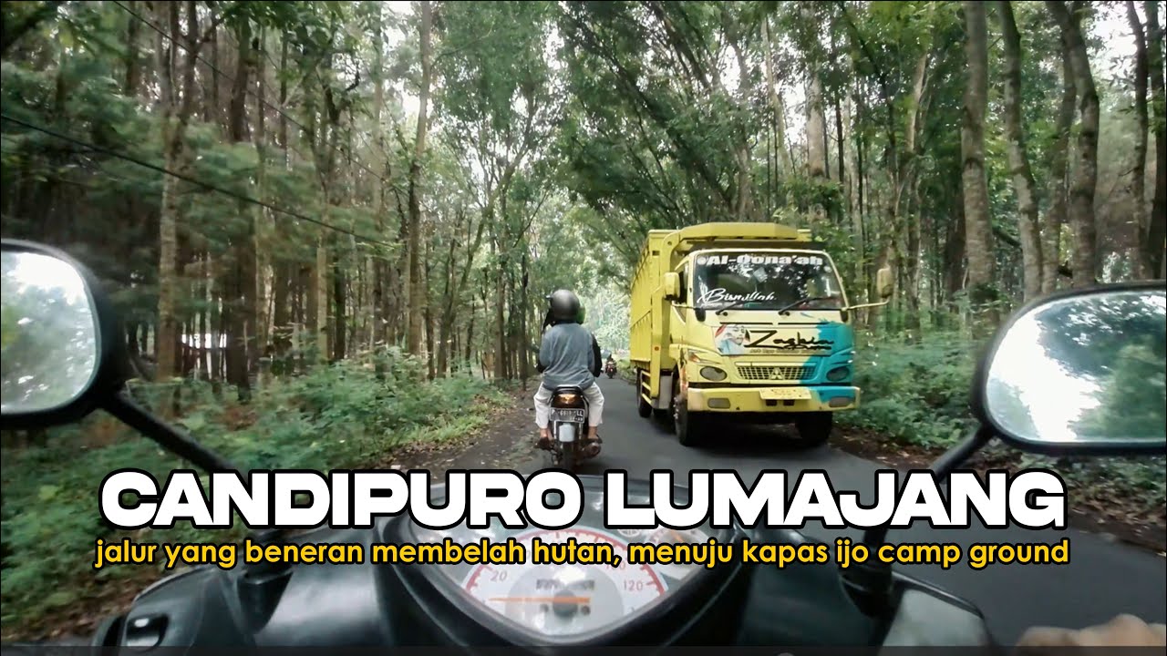 kondisi jalan menuju kapas ijo candipuro Lumajang | lewat hutan hutan ...