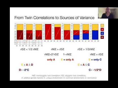 Twin Models using OpenMx Part 3: Genetic Models - YouTube