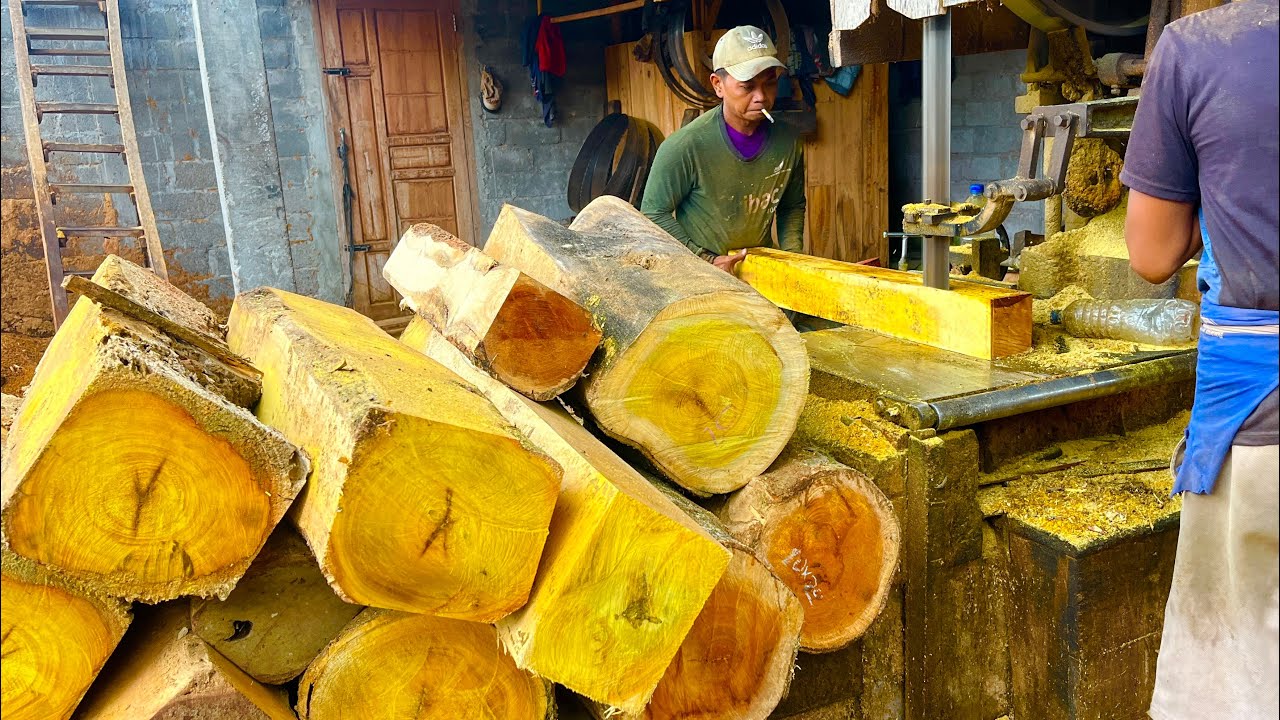 Surprising Discovery: 50-Year-Old Jackfruit Wood Ready for Sawmilling ...