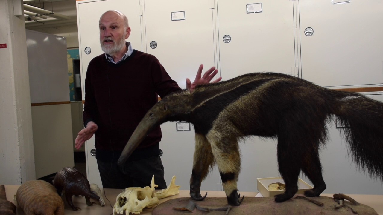 Scientists Live: John Wible - YouTube