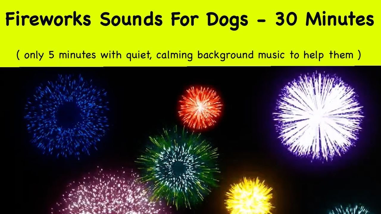 Fireworks Sounds For Dogs & Cats Desensitization Training 💖 5 Mins of ...