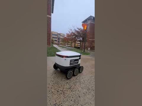 Cute robot avoids me - YouTube