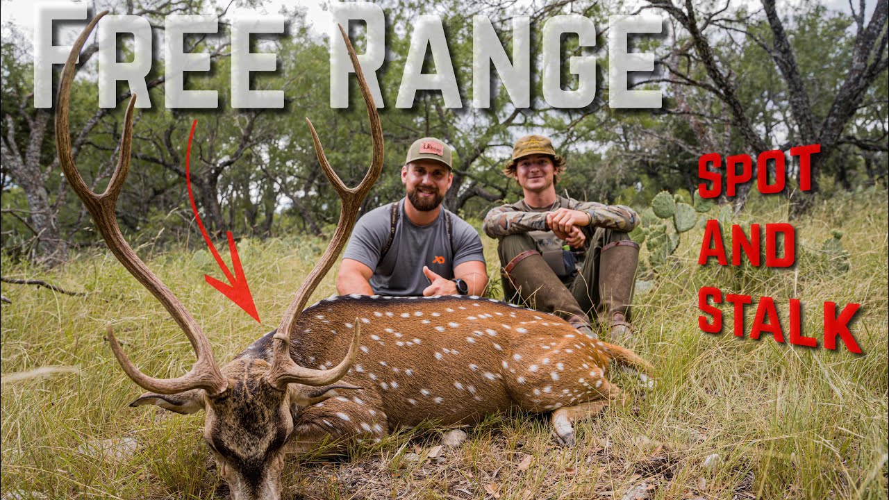 Hunting Big Axis Bucks in the Rut!! Spot and Stalk South TX - YouTube