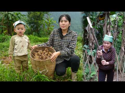 A single mother goes to harvest sweet potatoes, and her cruel mother-in-law comes looking for her.