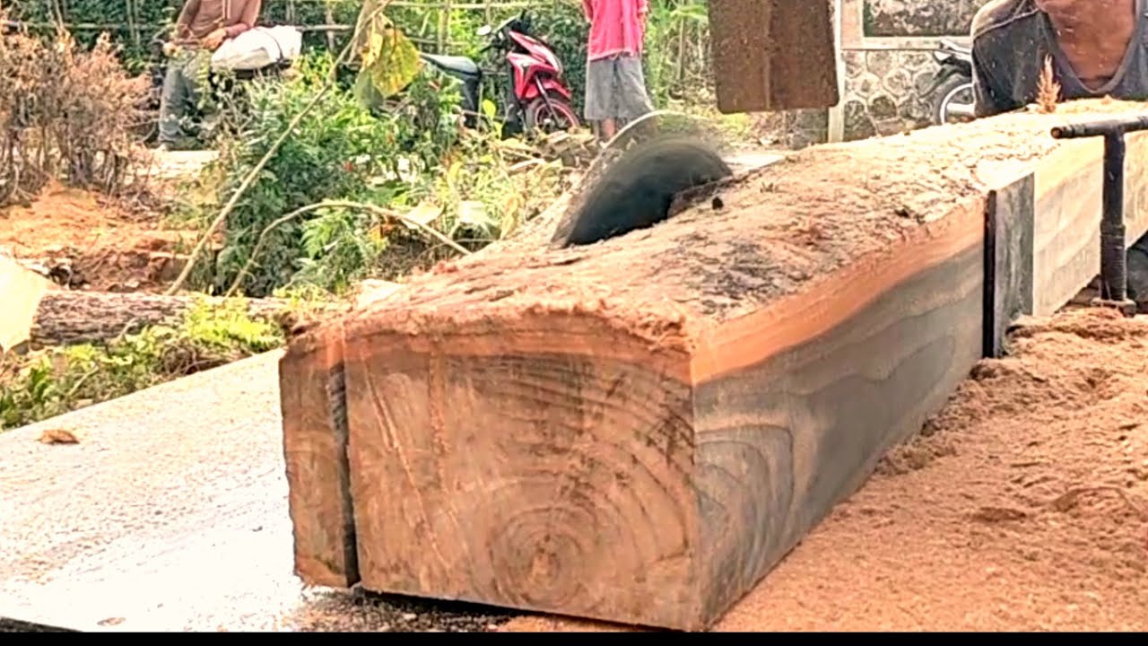 Fakta menarik seputar kayu jati doreng di gergaji mesin serkel bahan ...