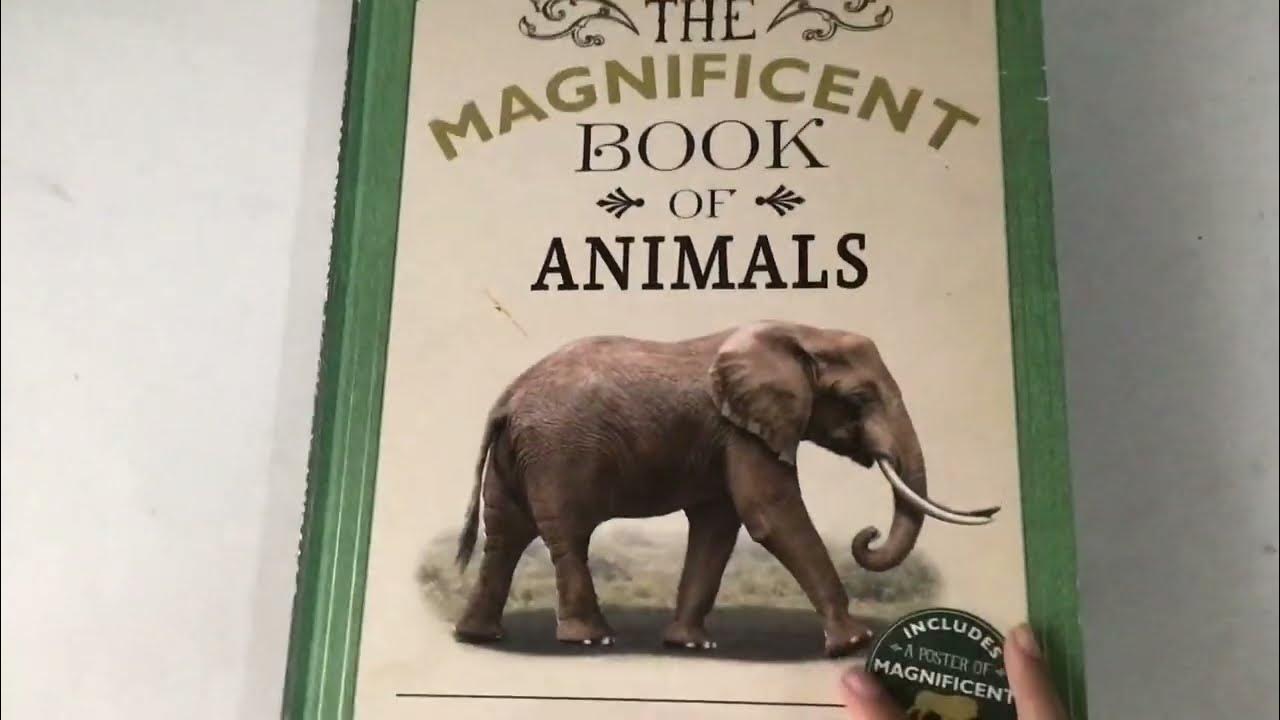 Tour Of The Magnificent Book Of Animals - YouTube