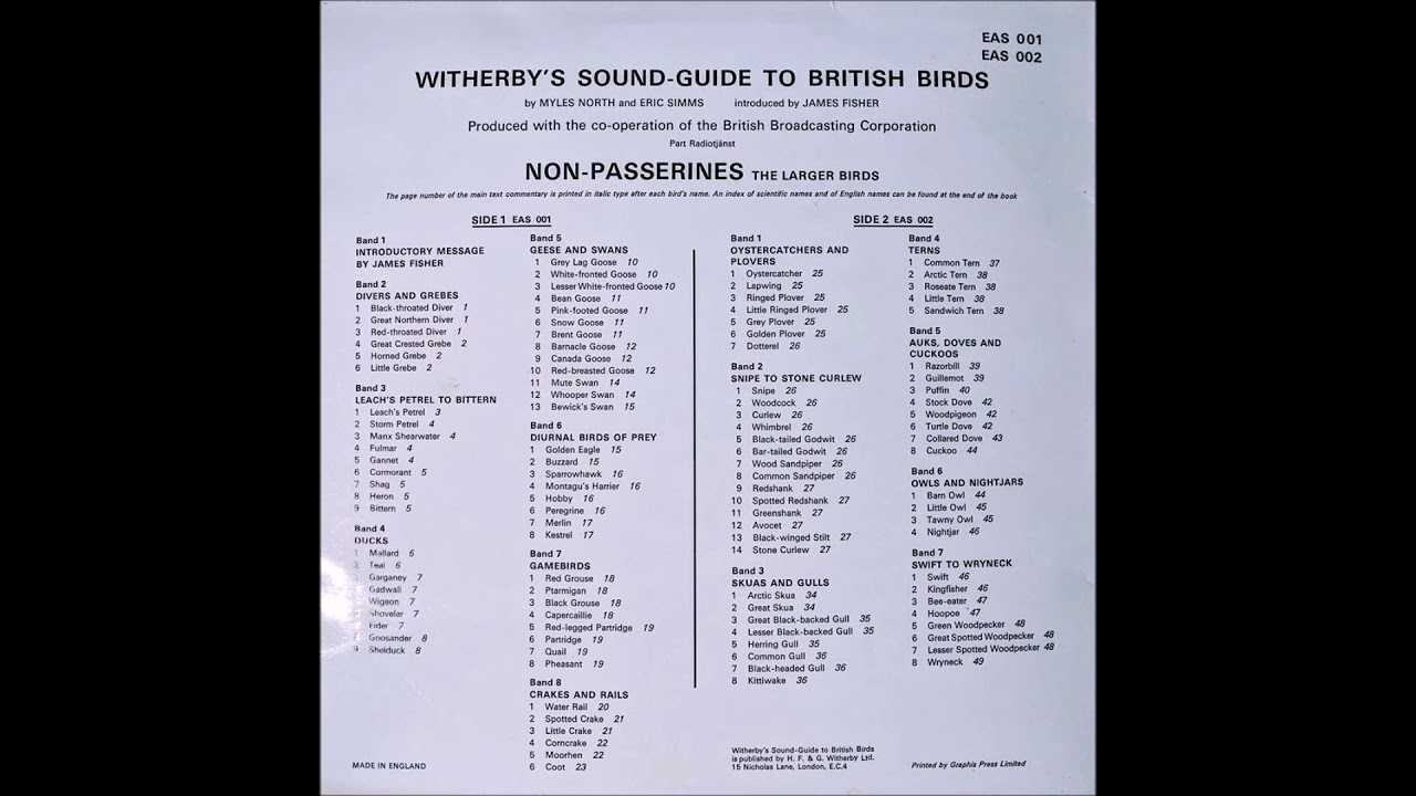 Witherby's Sound-Guide To British Birds - Non-Passerines - The Larger ...