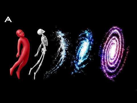 You are the Universe Experiencing Itself | Spinoza's God